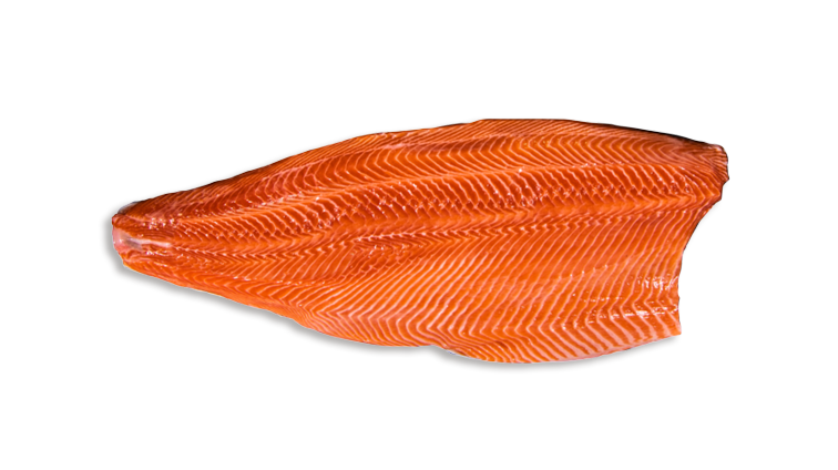 Coho Fillet - Camanchaca Salmons