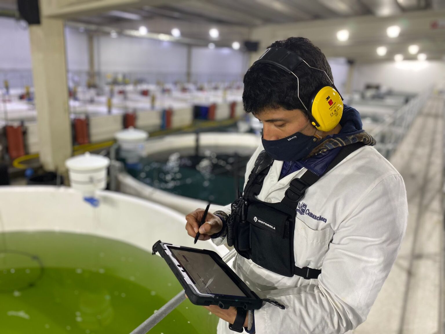 Septiembre 2022: Camanchaca impulsa plataforma de gestión de datos para ...